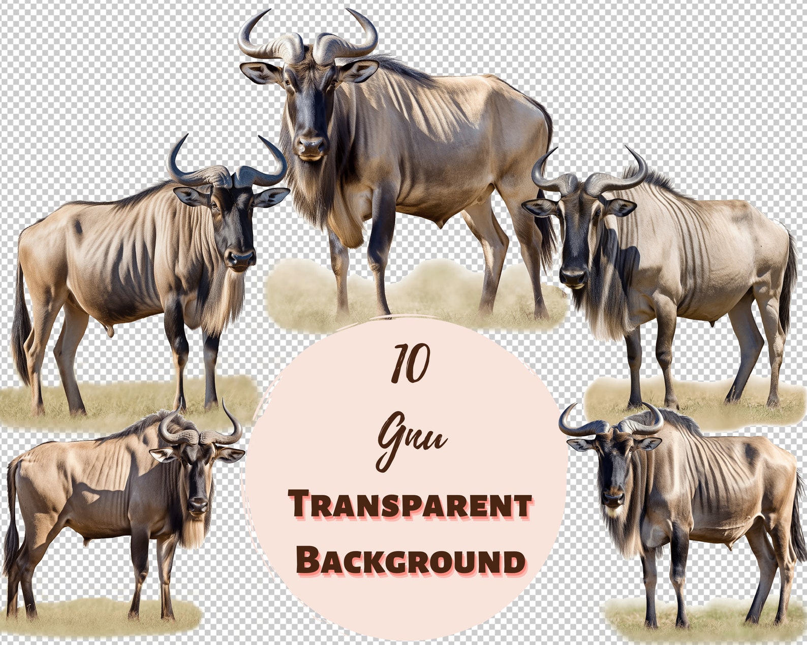 Gnu Clipart Bundle Transparent PNG Collection Digital - Etsy