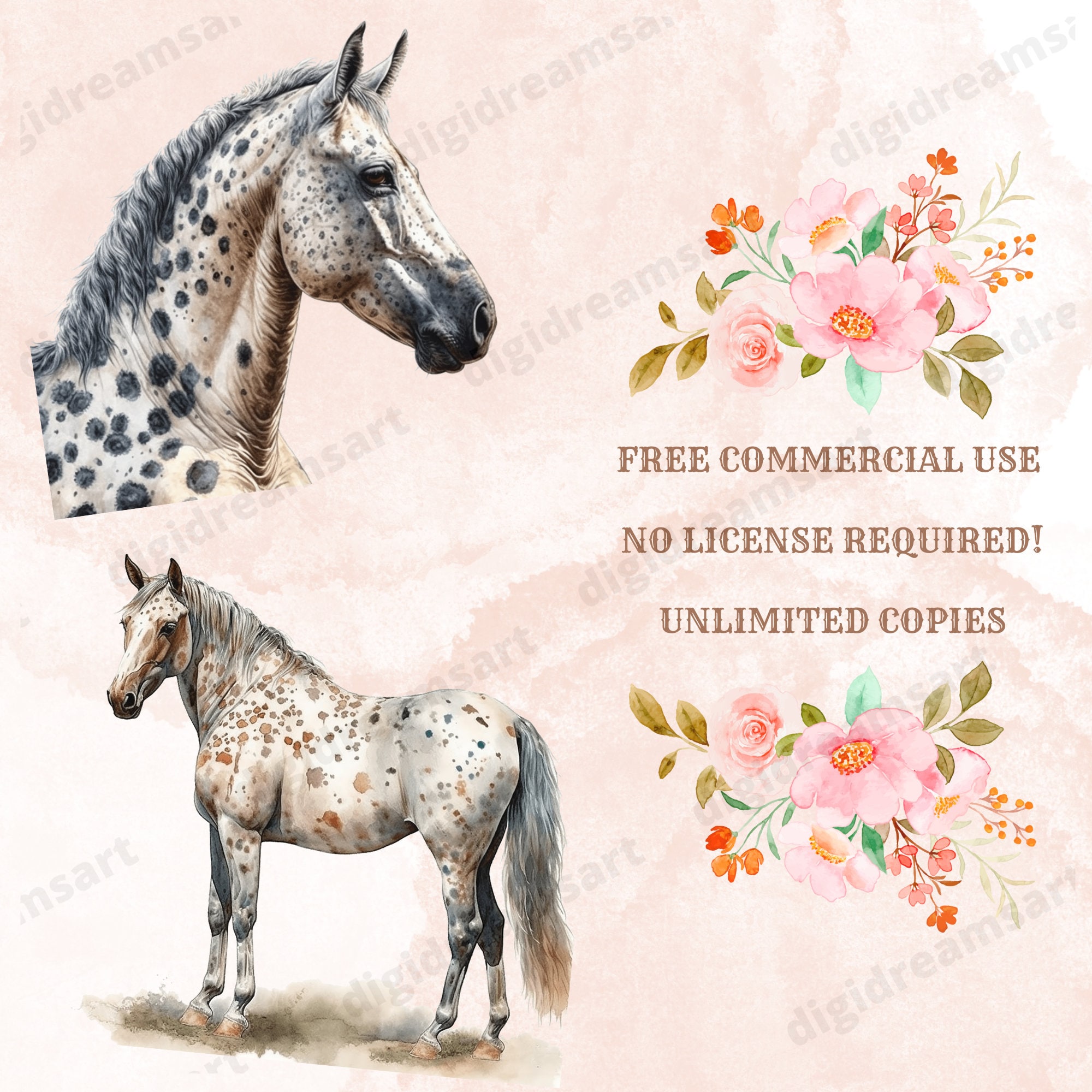 Appaloosa Horse Transparent PNG Collection Watercolor - Etsy