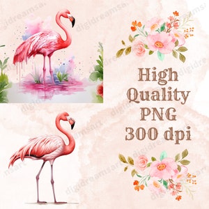 Flamingo Clipart Bundle - Transparent PNG Collection, Watercolor ...