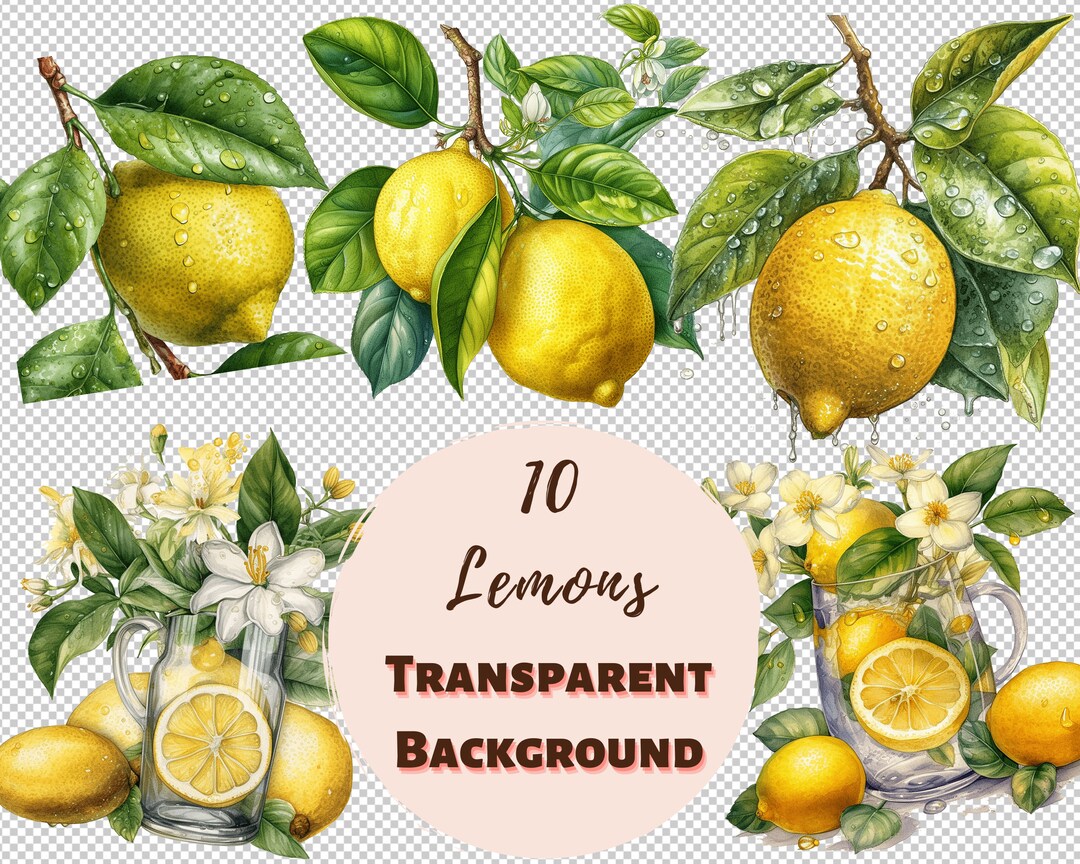 Lemons Design Bundle - PNG Transparent Clipart Collection, Watercolor ...