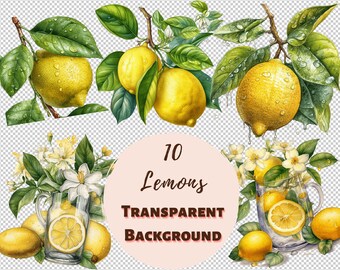 Digital Lemon Clip Art Leaves Flowers Branch Wreath - Etsy