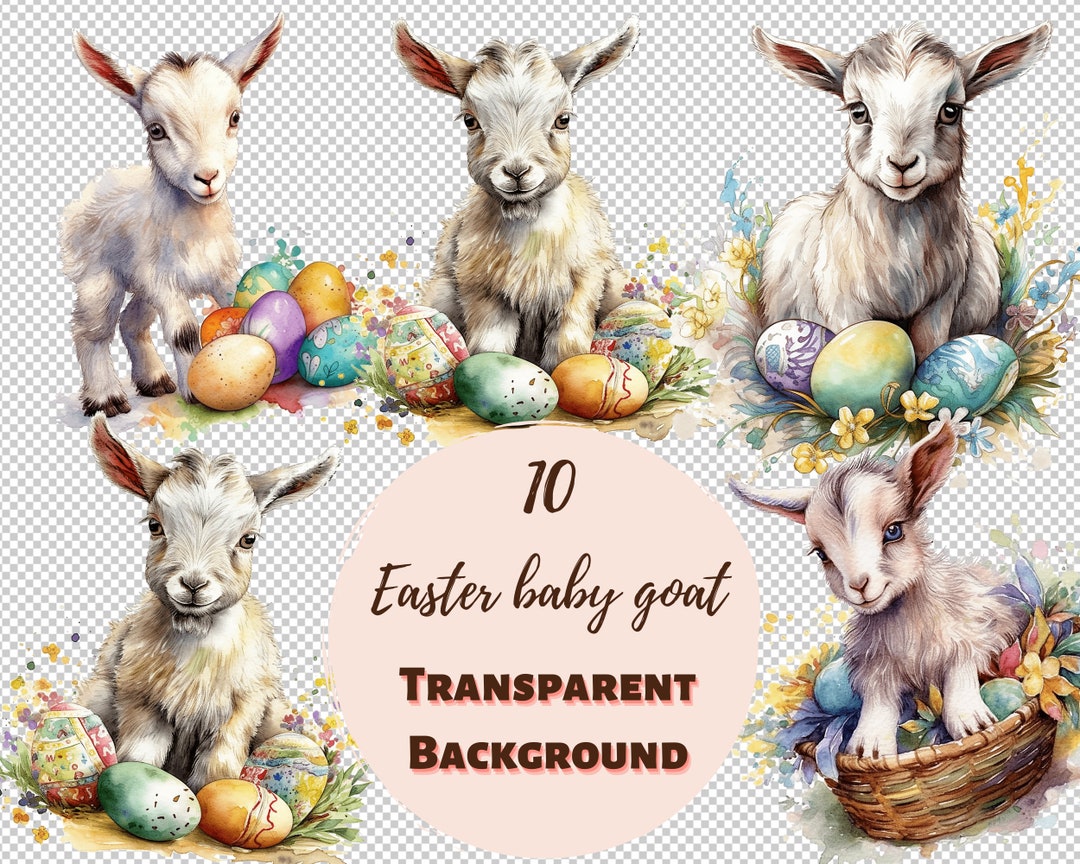 Adorable Easter Baby Goat Clipart Bundle - Transparent PNG Collection ...