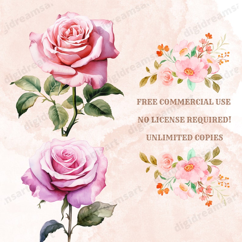 Rose Clipart Bundle Transparent PNG Collection Watercolor - Etsy