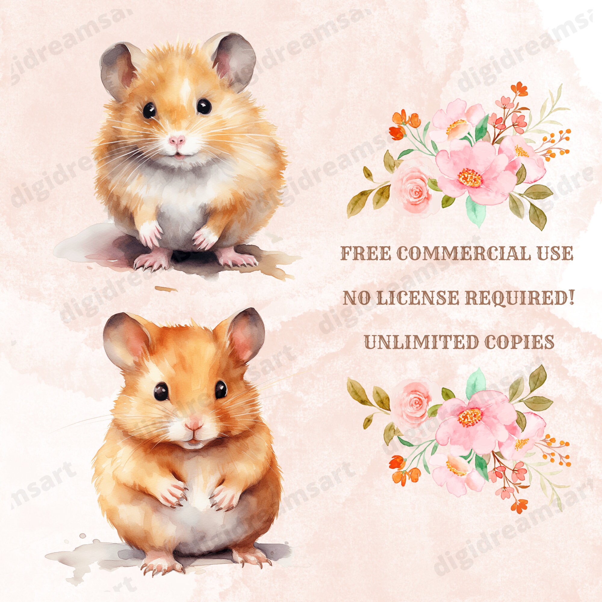 Hamster Clipart Bundle - Transparent PNG Collection, Watercolor ...