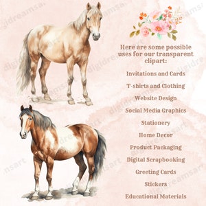 Farm Horse Clipart Bundle Transparent PNG Collection, Digital Prints ...