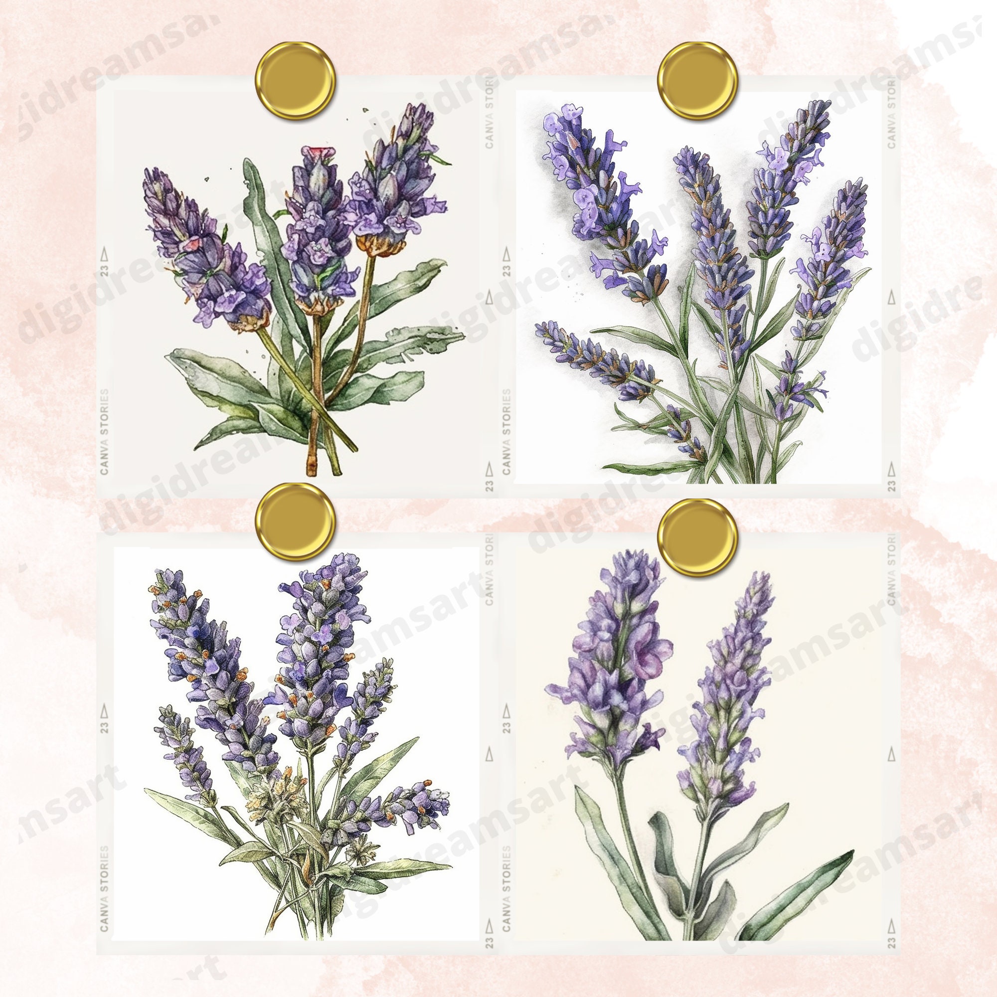 Lavander Design Bundle: Enchanting Clipart Digital Prints - Etsy