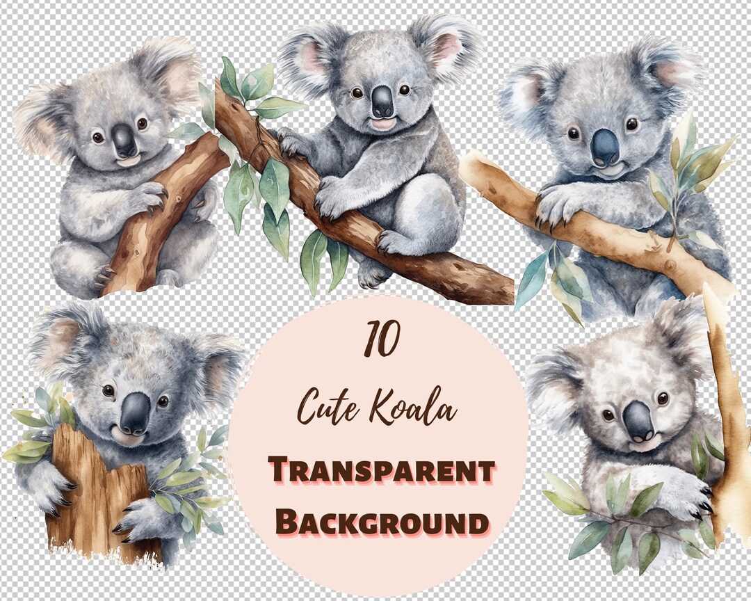 Cute Koala Design Bundle - PNG Transparent Clipart Collection ...