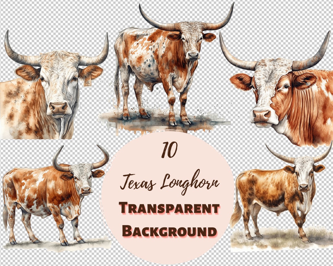 Texas Longhorn Clipart Bundle – Transparent PNG Graphics (digital ...