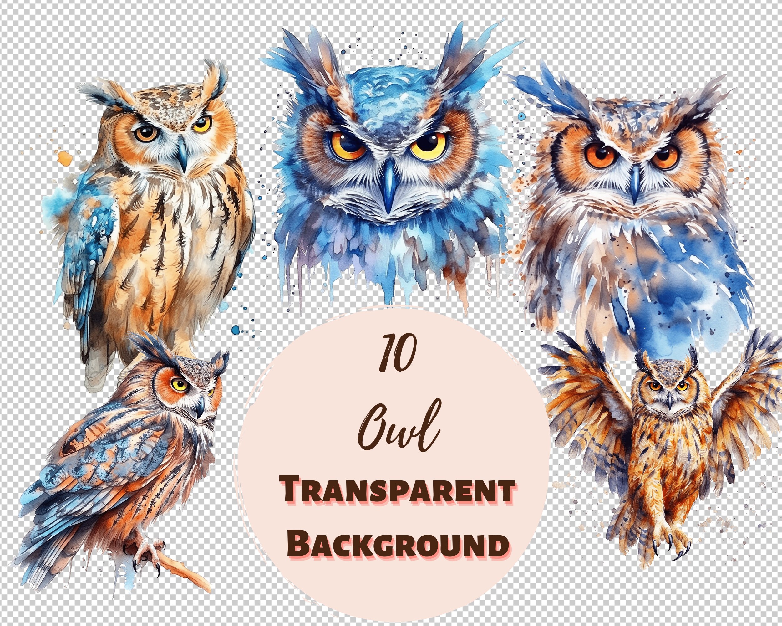Owl Clipart Bundle Transparent PNG Collection, Digital Prints, Clipart ...