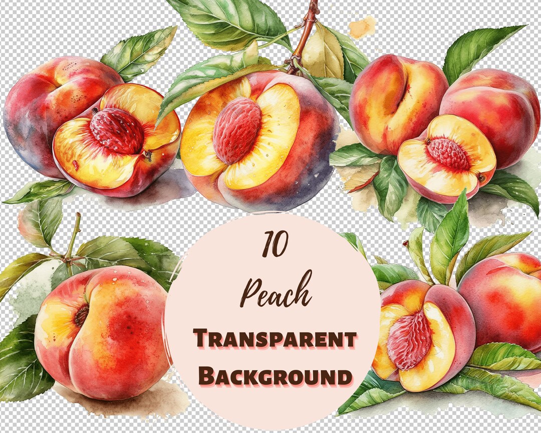 Peach Design Bundle - PNG Transparent Clipart Collection, Watercolor ...