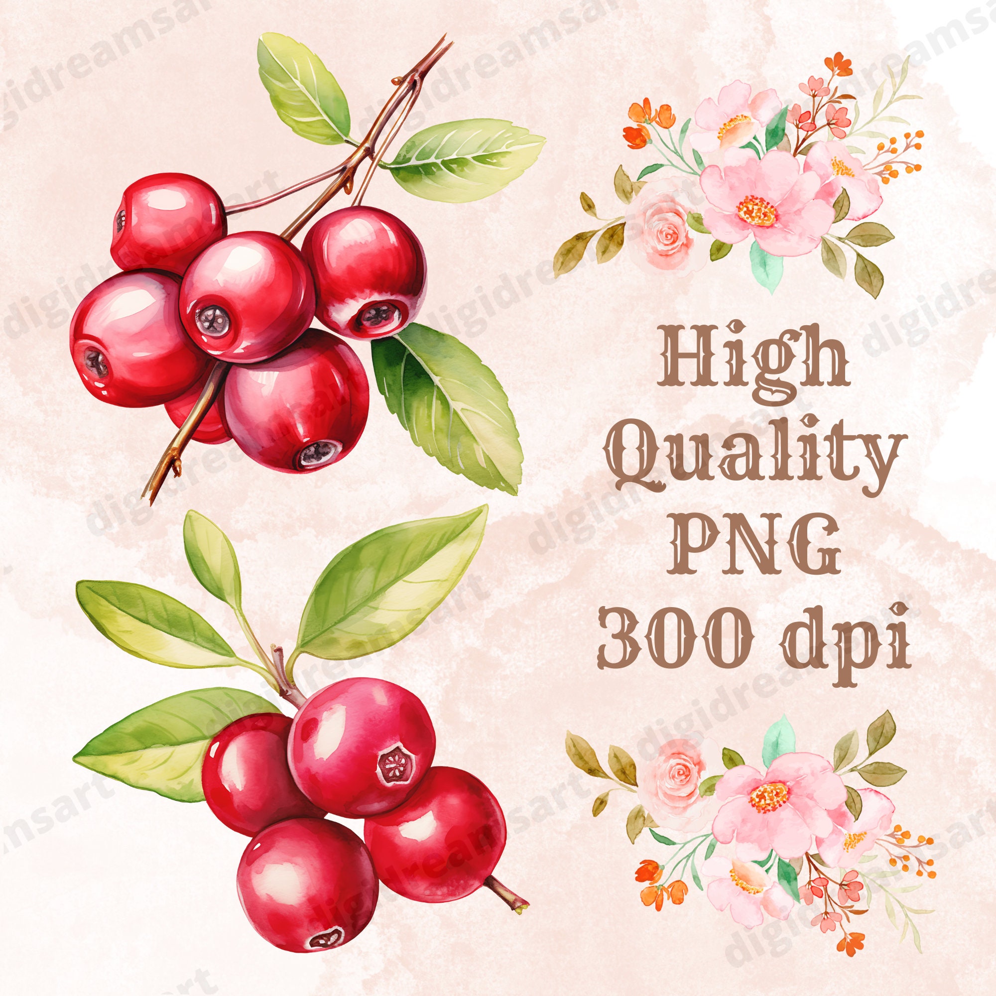 Cranberry Clipart Bundle Transparent PNG Collection, Watercolor ...