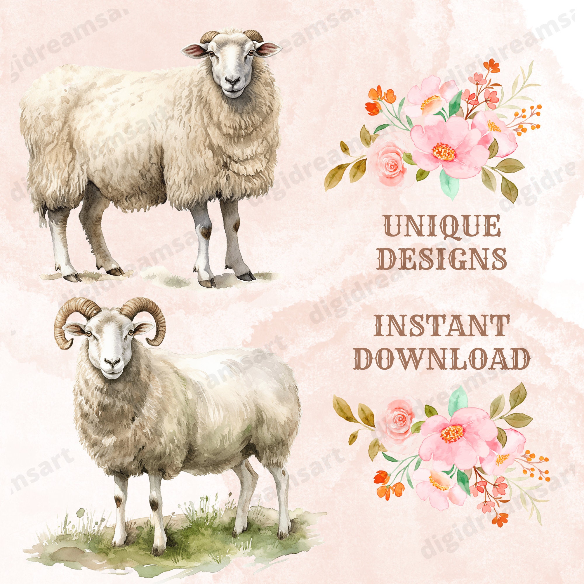 Sheep Breeds Mega Bundle 50 PNG Clipart Images Transparent PNG ...