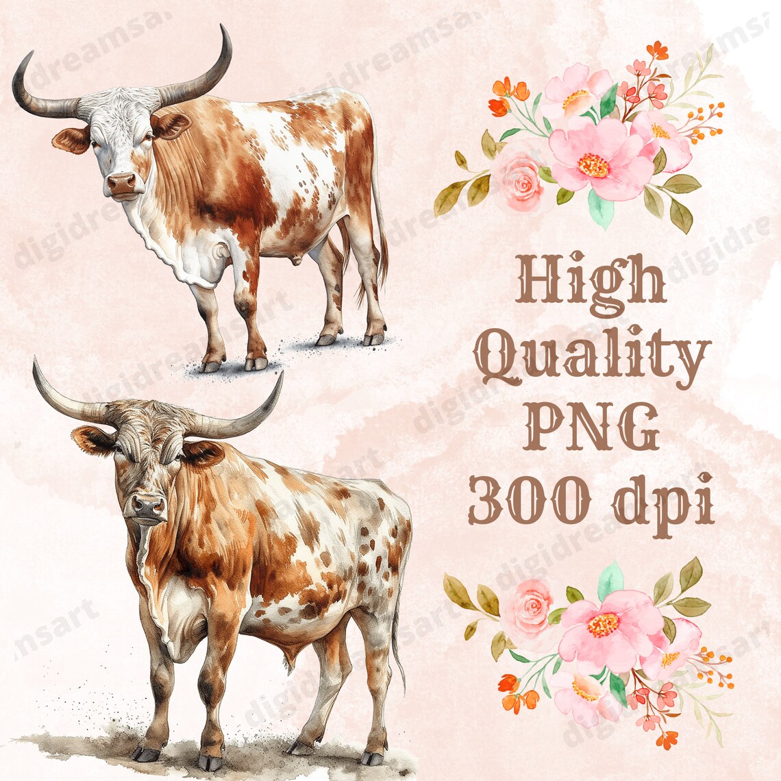 Texas Longhorn Clipart Bundle – Transparent PNG Graphics (digital ...