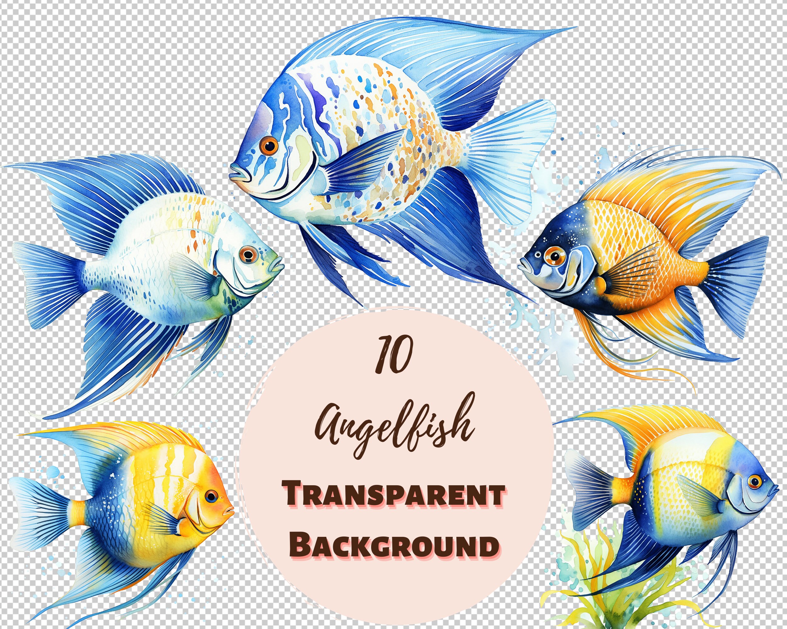 Angel Fish Clip Art