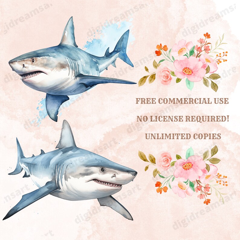 Shark, Clipart Bundle Transparent PNG Collection, Digital Prints ...