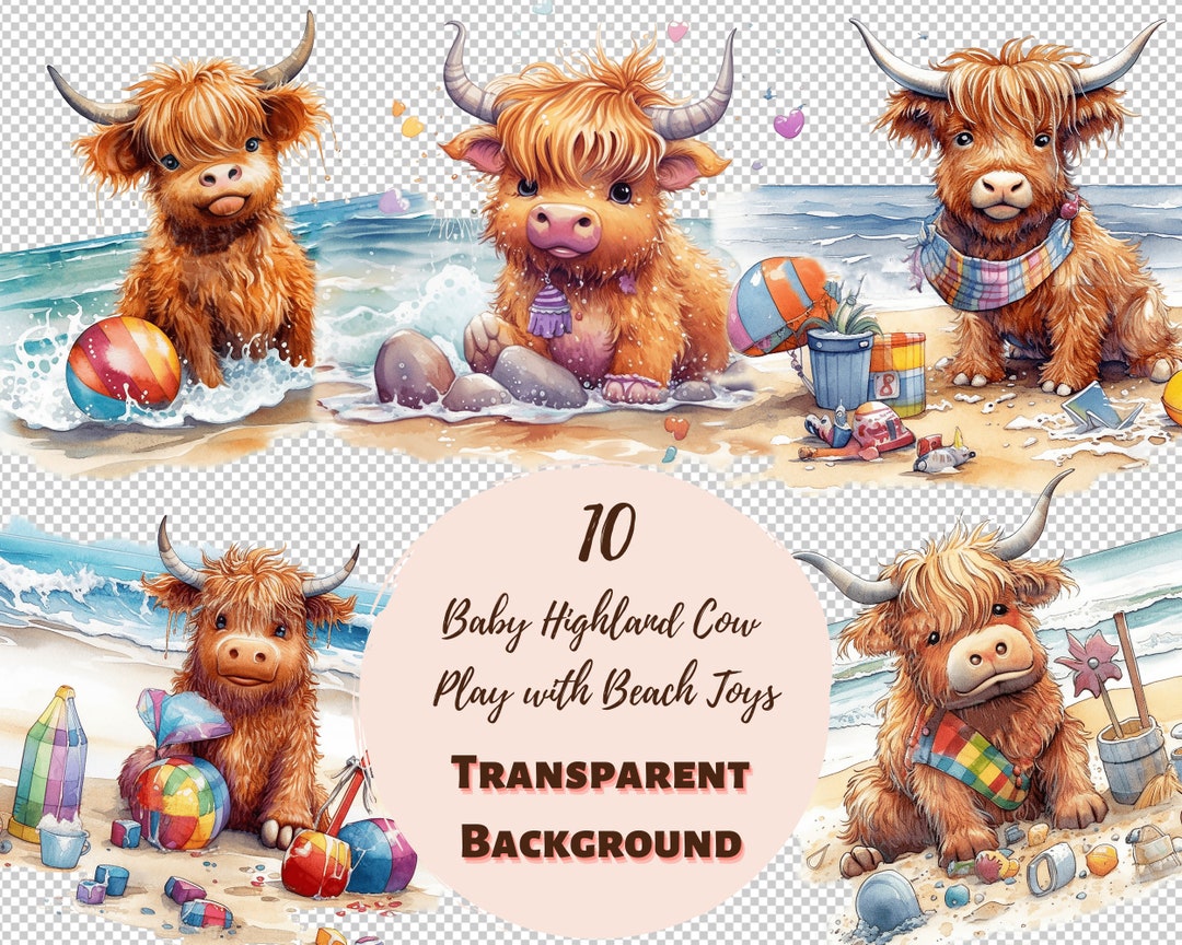 Baby Highland Cow Play With Beach Toys Design Bundle PNG Transparent ...