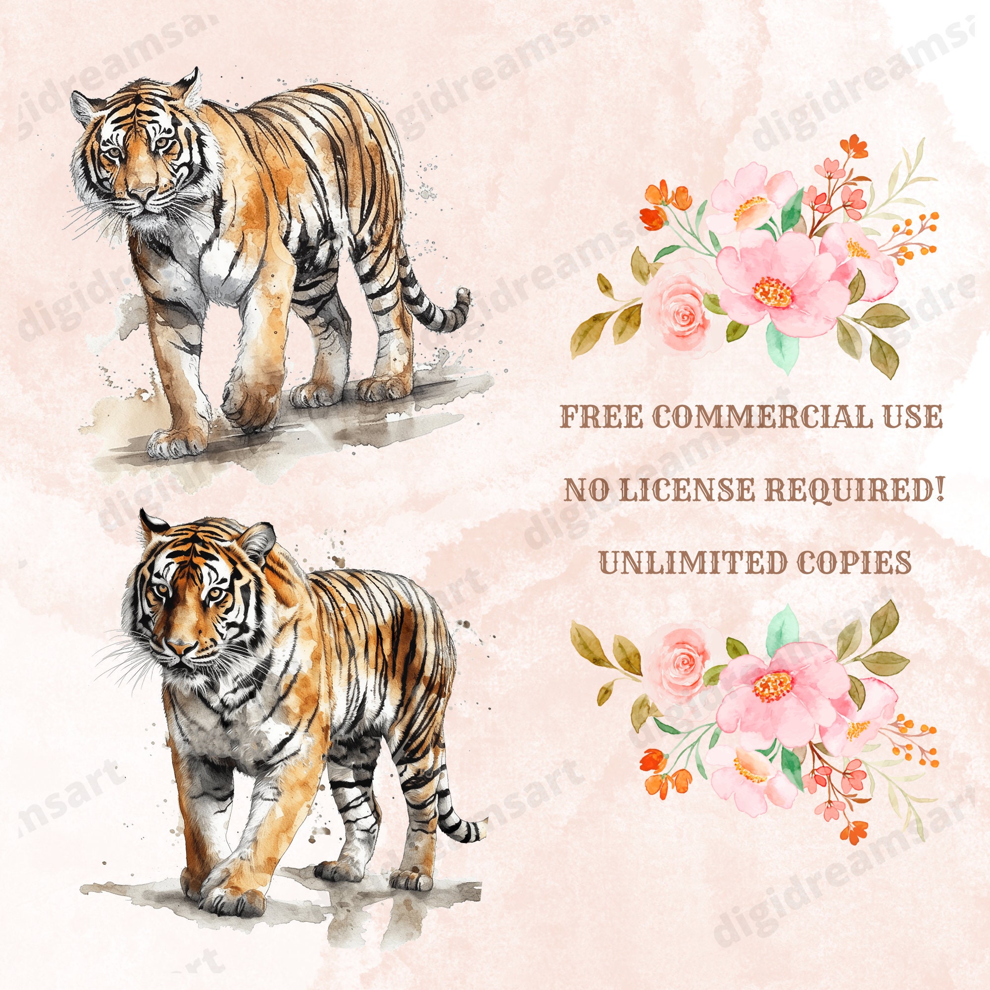 Tiger Clipart Bundle Transparent PNG Collection, Digital Prints ...