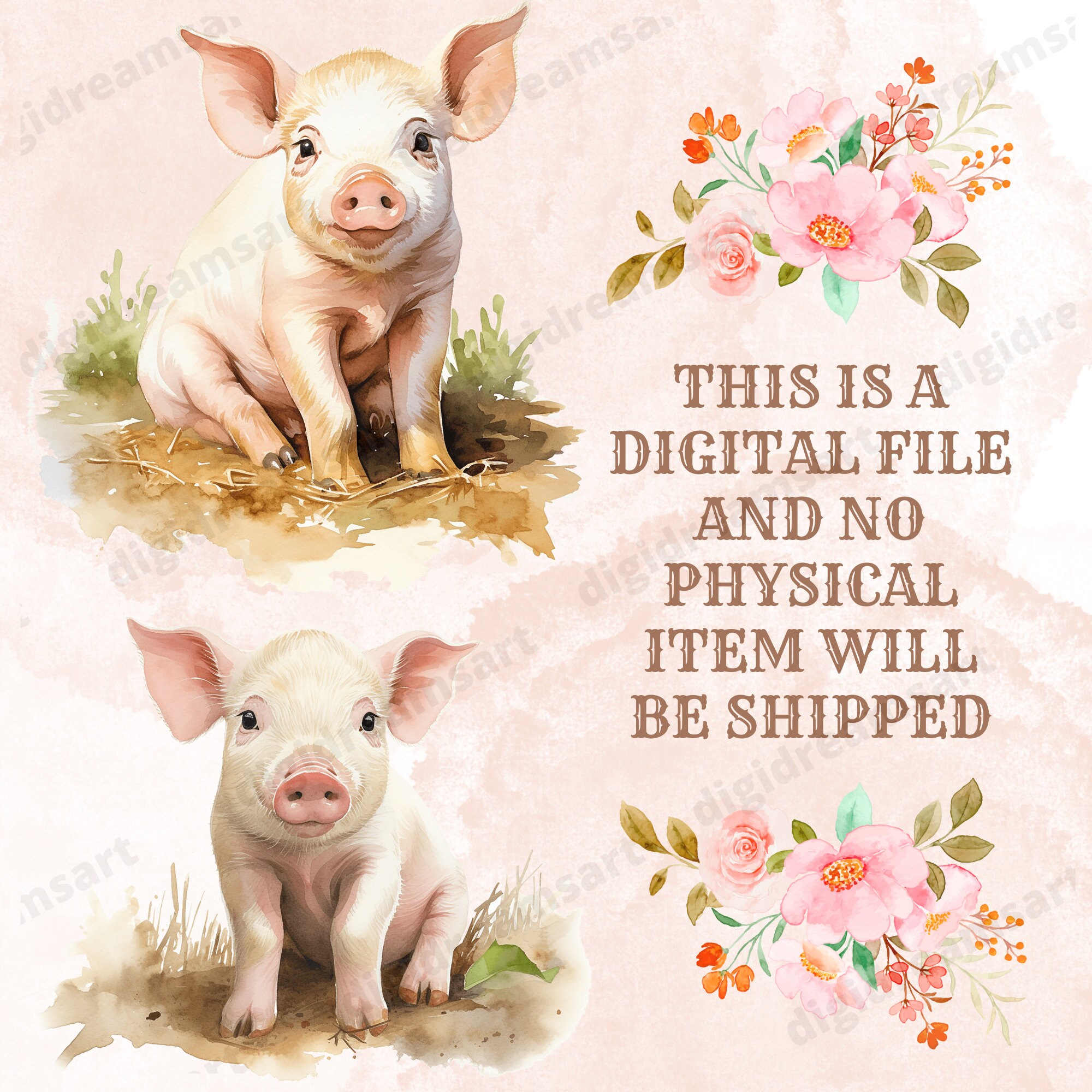 Farm Pig Clipart Bundle Transparent PNG Collection, Digital Prints ...