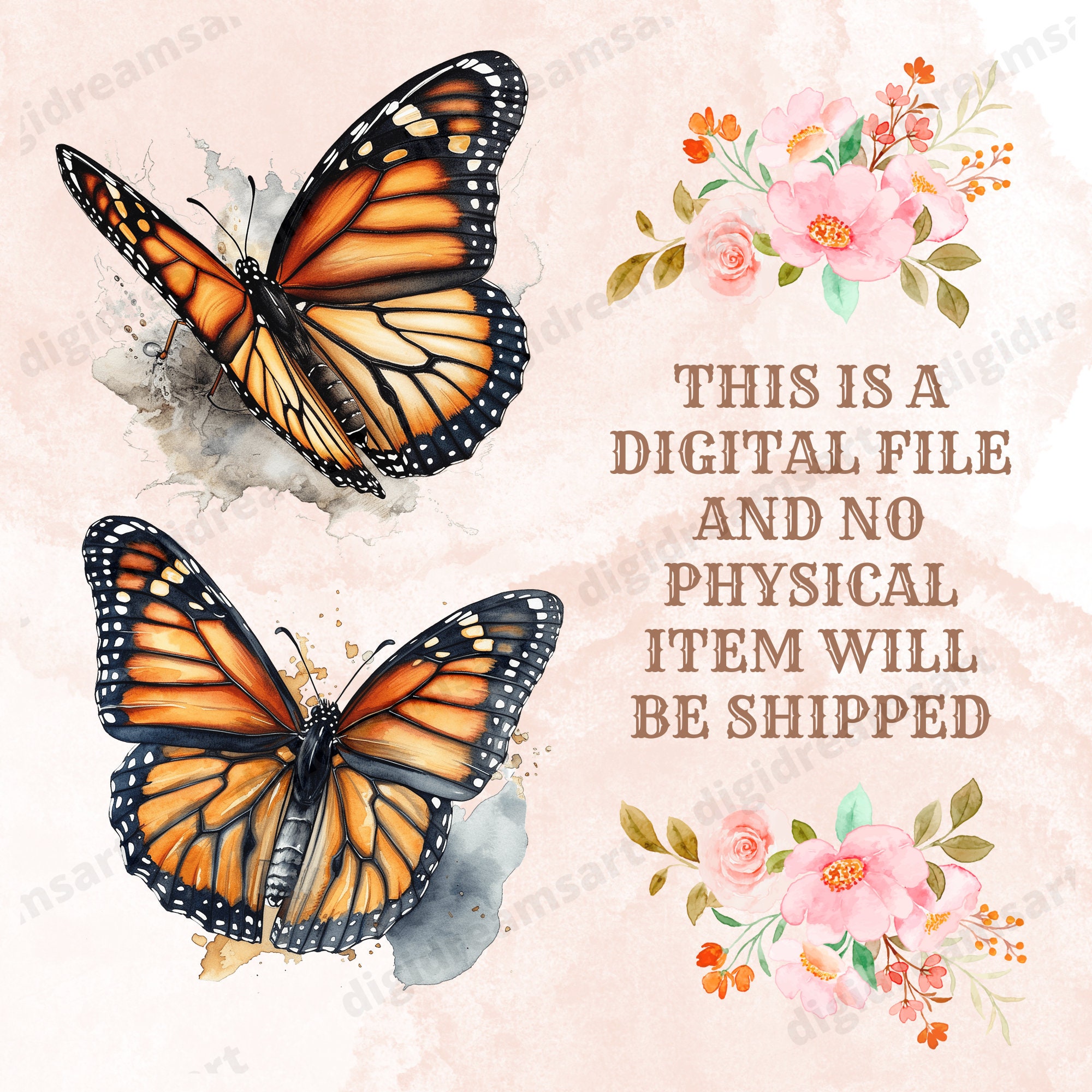 Monarch Butterfly Clipart Bundle Transparent PNG Collection - Etsy