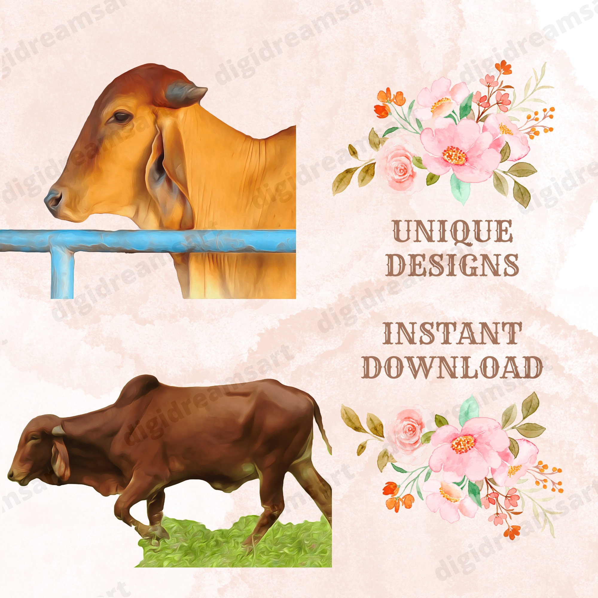 Brahman Cow Clipart Bundle Transparent PNG Collection, Digital Prints ...