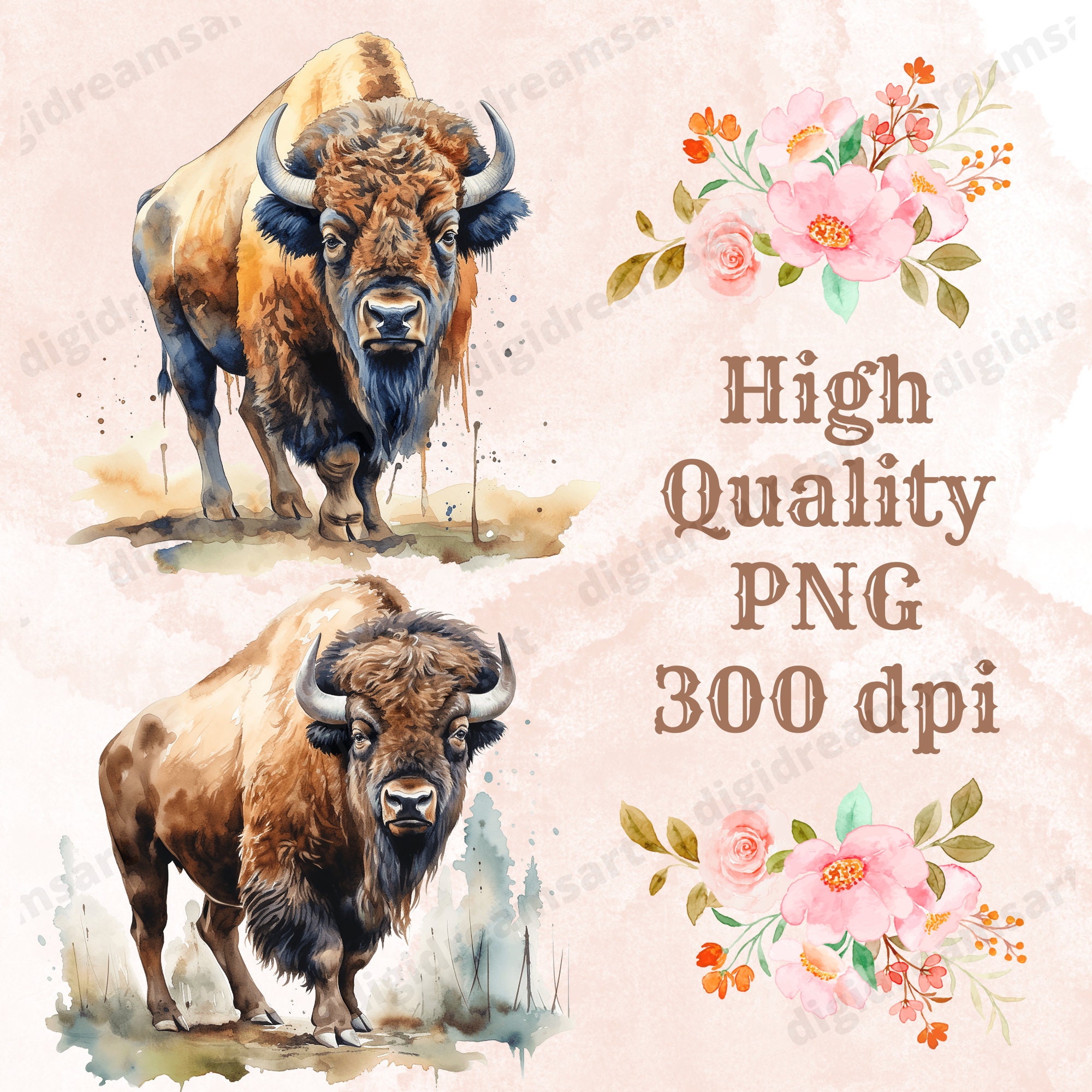 American Bison or American Buffalo Clipart Bundle Transparent PNG ...