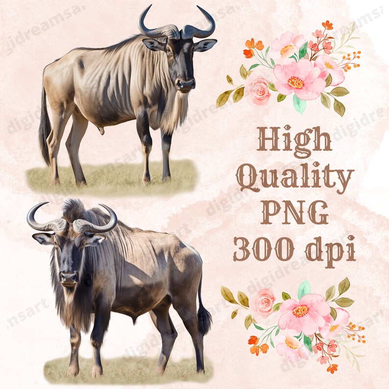 Gnu Clipart Bundle Transparent PNG Collection Digital - Etsy