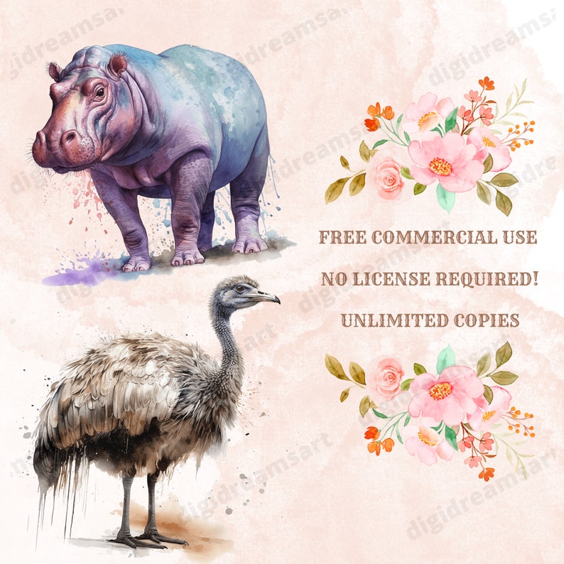 Safari Animals Clipart Bundle Transparent PNG Collection - Etsy