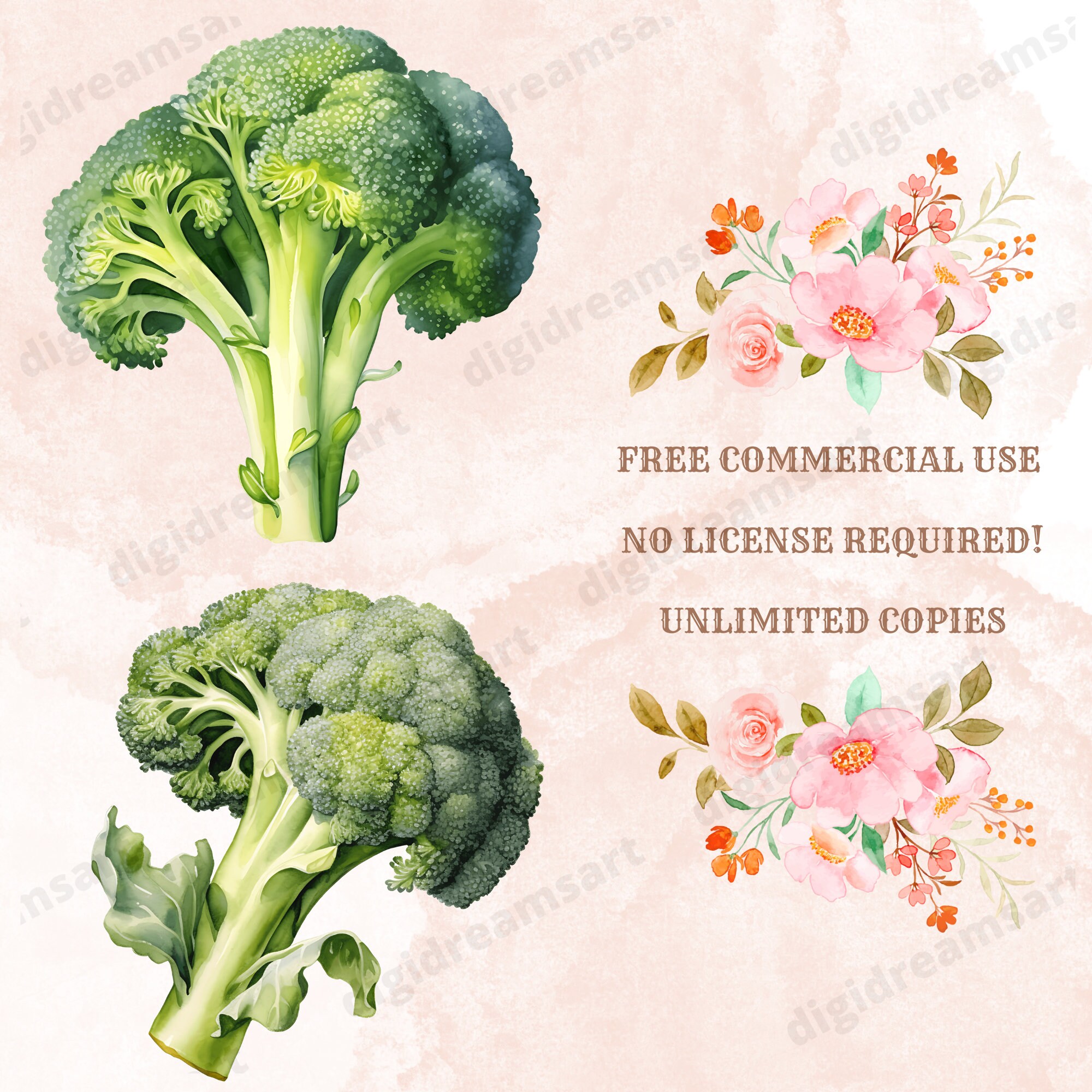 Vegetables Mega Bundle 50 PNG Clipart Images Transparent PNG - Etsy