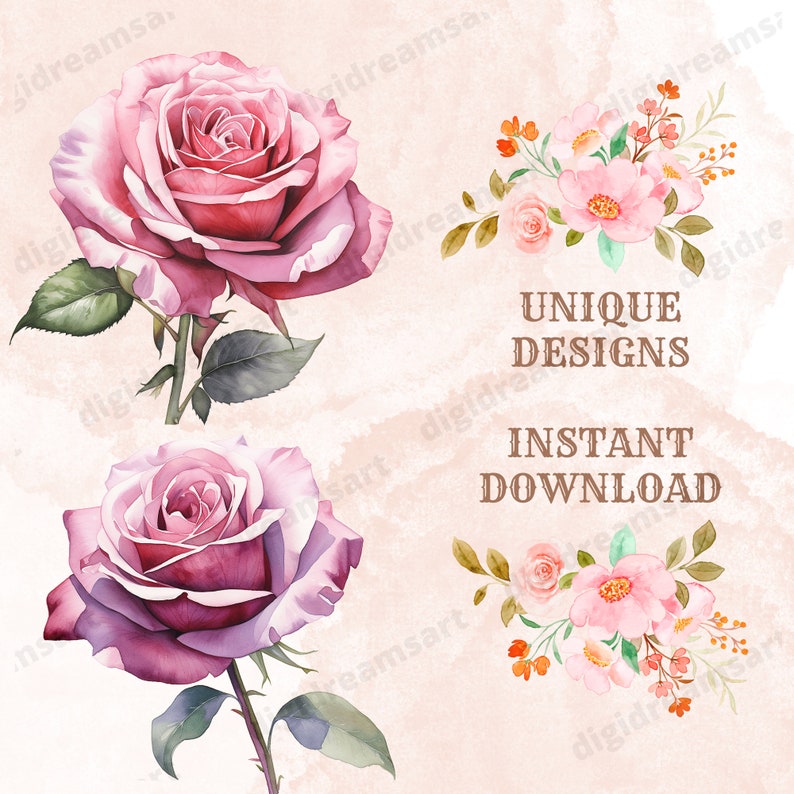 Rose Clipart Bundle Transparent PNG Collection Watercolor - Etsy