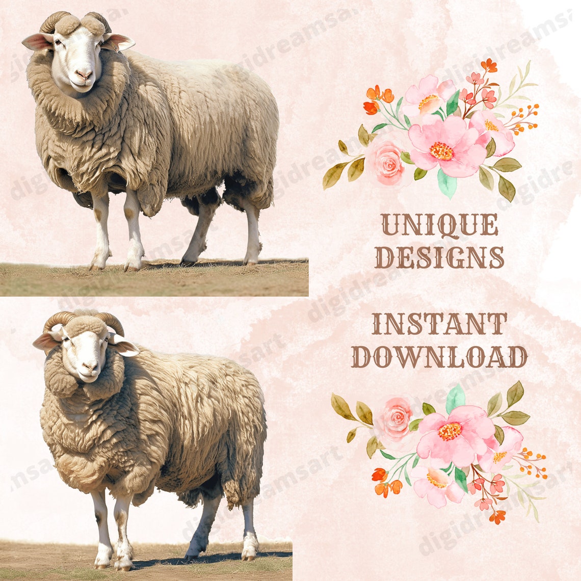 Merino Sheep Clipart Bundle Transparent PNG Collection - Etsy