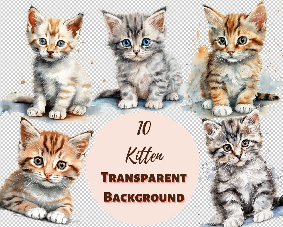 Kitten Clipart Bundle - Transparent PNG Collection, Watercolor Graphics ...
