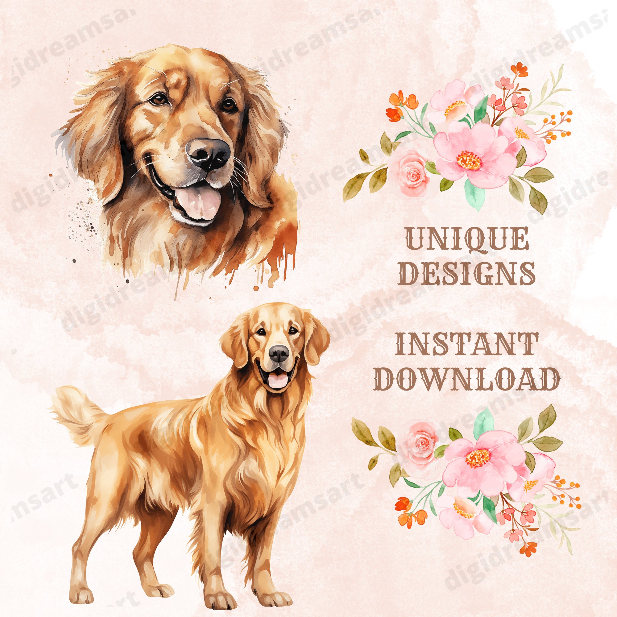 Golden Retriever Clipart Bundle Transparent PNG Collection - Etsy