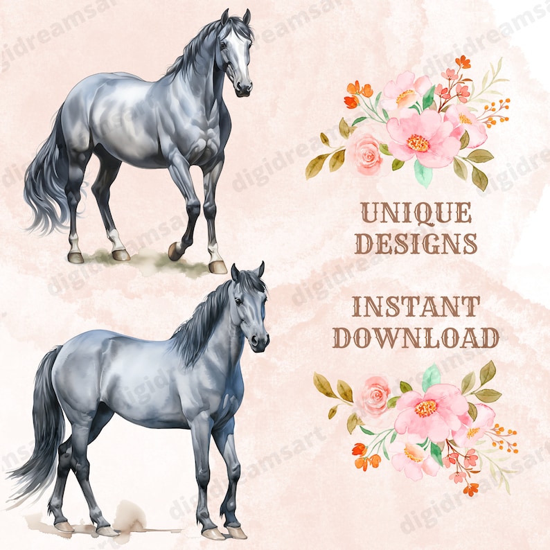 Blue Roan Quarter Horse Clipart Bundle Transparent PNG Collection ...