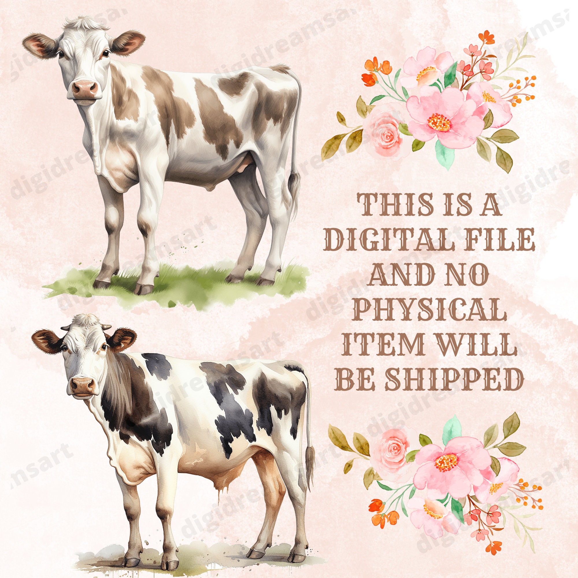 Farm Cow Clipart Bundle Transparent PNG Collection, Digital Prints ...