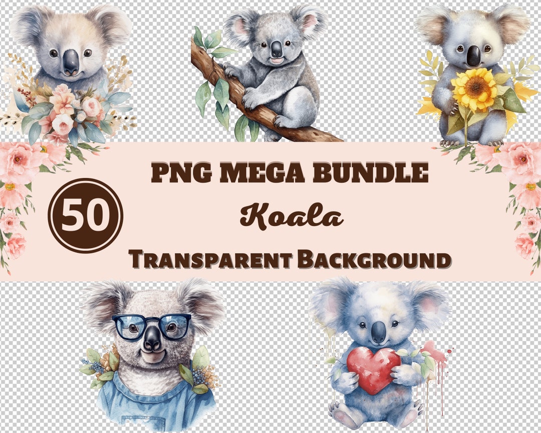 Koala Mega Bundle 50 PNG Clipart Images - Transparent PNG Collection ...