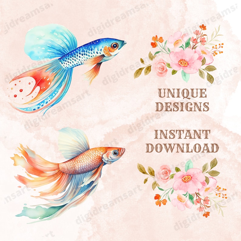 Pet Fish Mega Bundle 50 PNG Clipart Images - Transparent PNG Collection ...