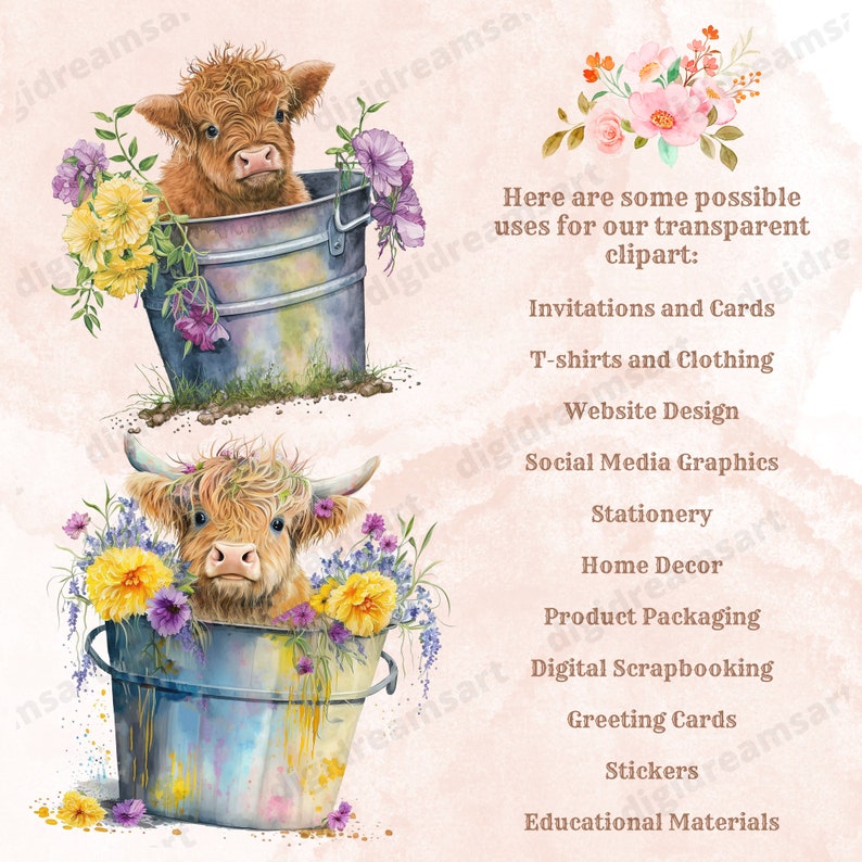 Cute Baby Highland Cow Design Bundle PNG Transparent Clipart - Etsy