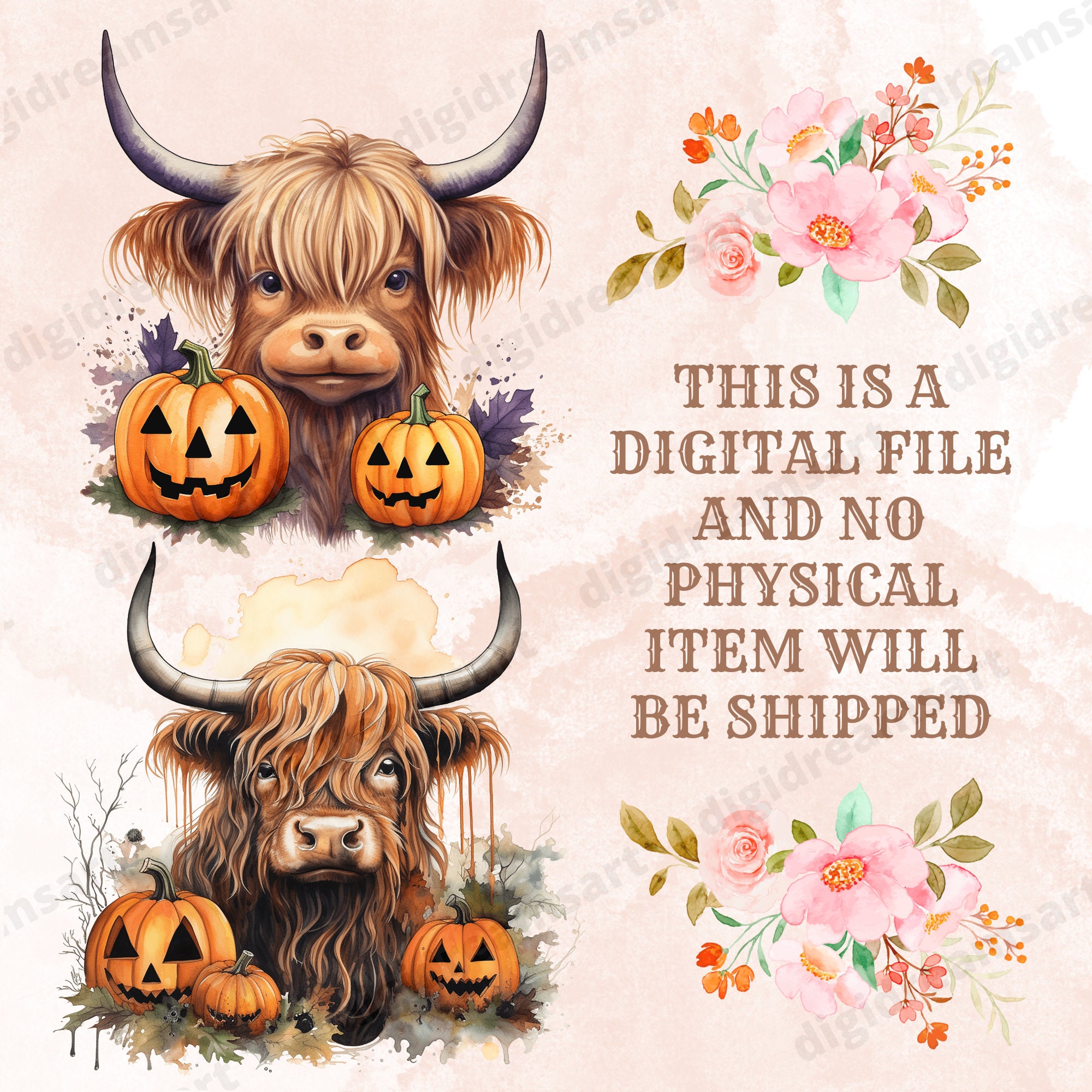 Halloween Highland Cow Clipart Bundle Transparent PNG - Etsy