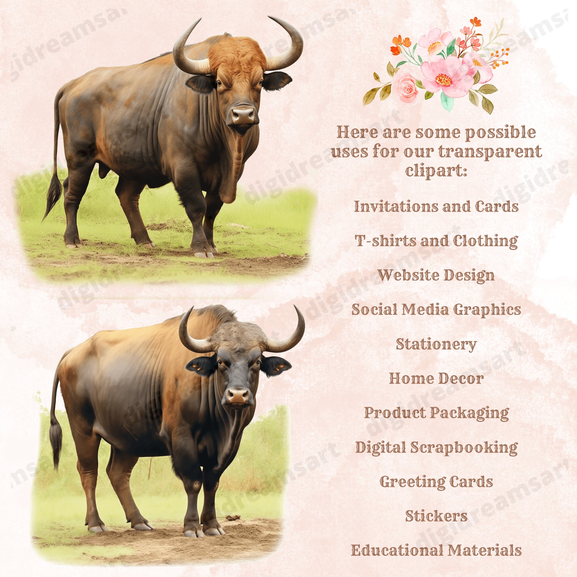 Gaur Clipart Bundle Transparent PNG Collection Digital - Etsy