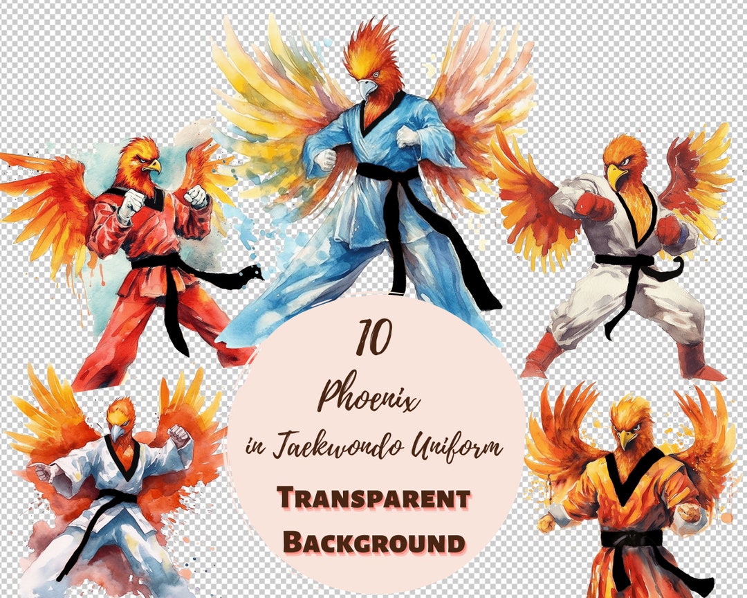 Exclusive Phoenix in Taekwondo Uniform Clipart Bundle Transparent PNG ...
