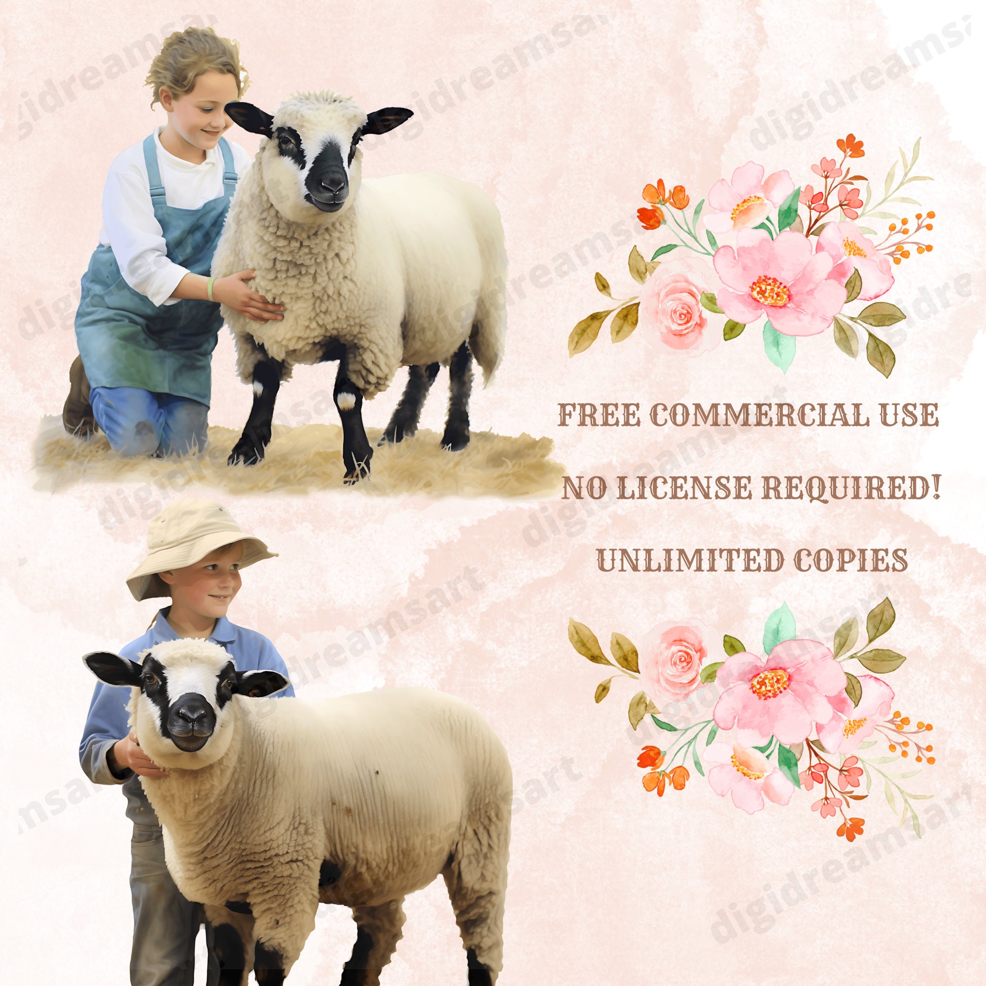 4-H Show Sheep Mega Bundle 50 PNG Clipart Images Transparent PNG ...