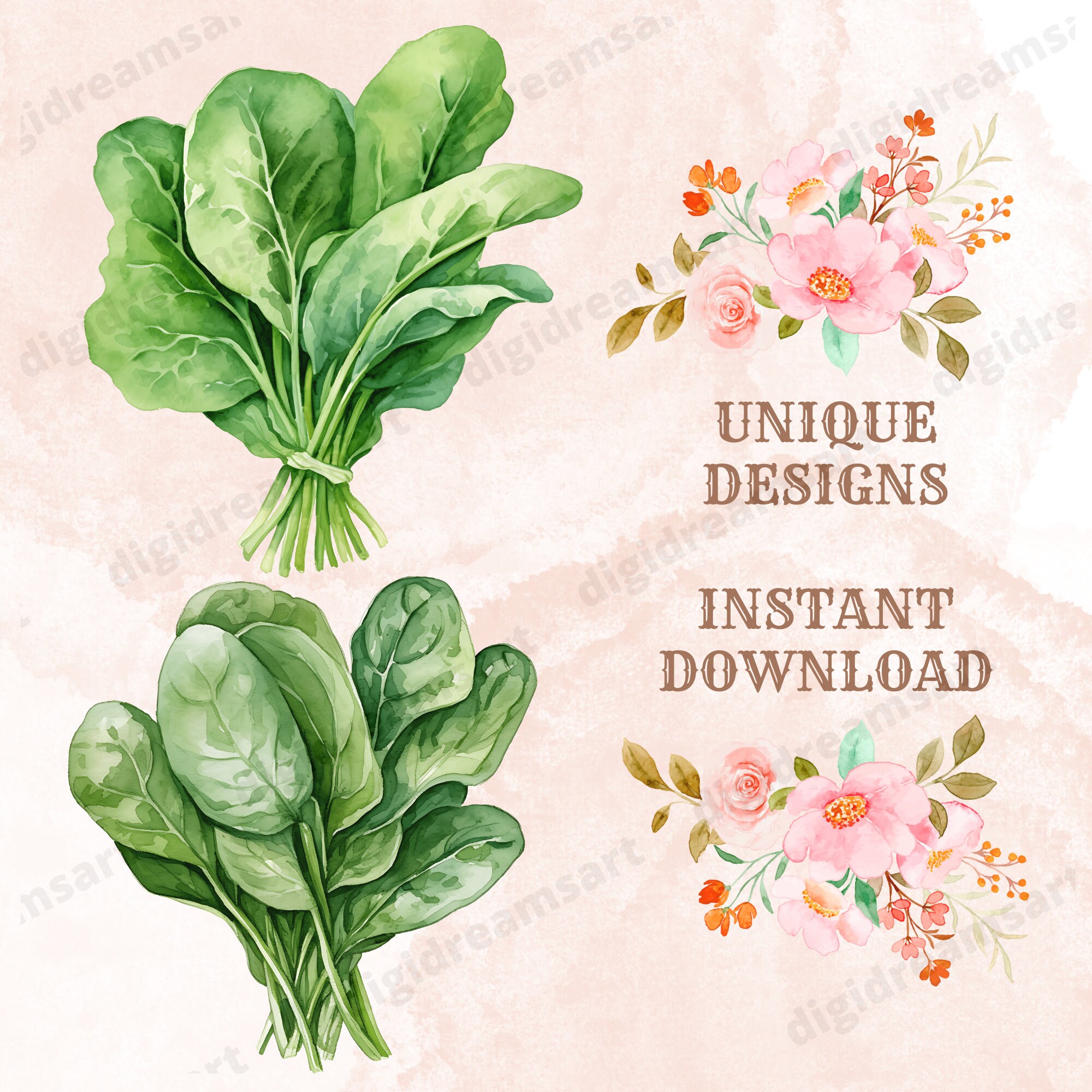 Vegetables Mega Bundle 50 PNG Clipart Images Transparent PNG - Etsy