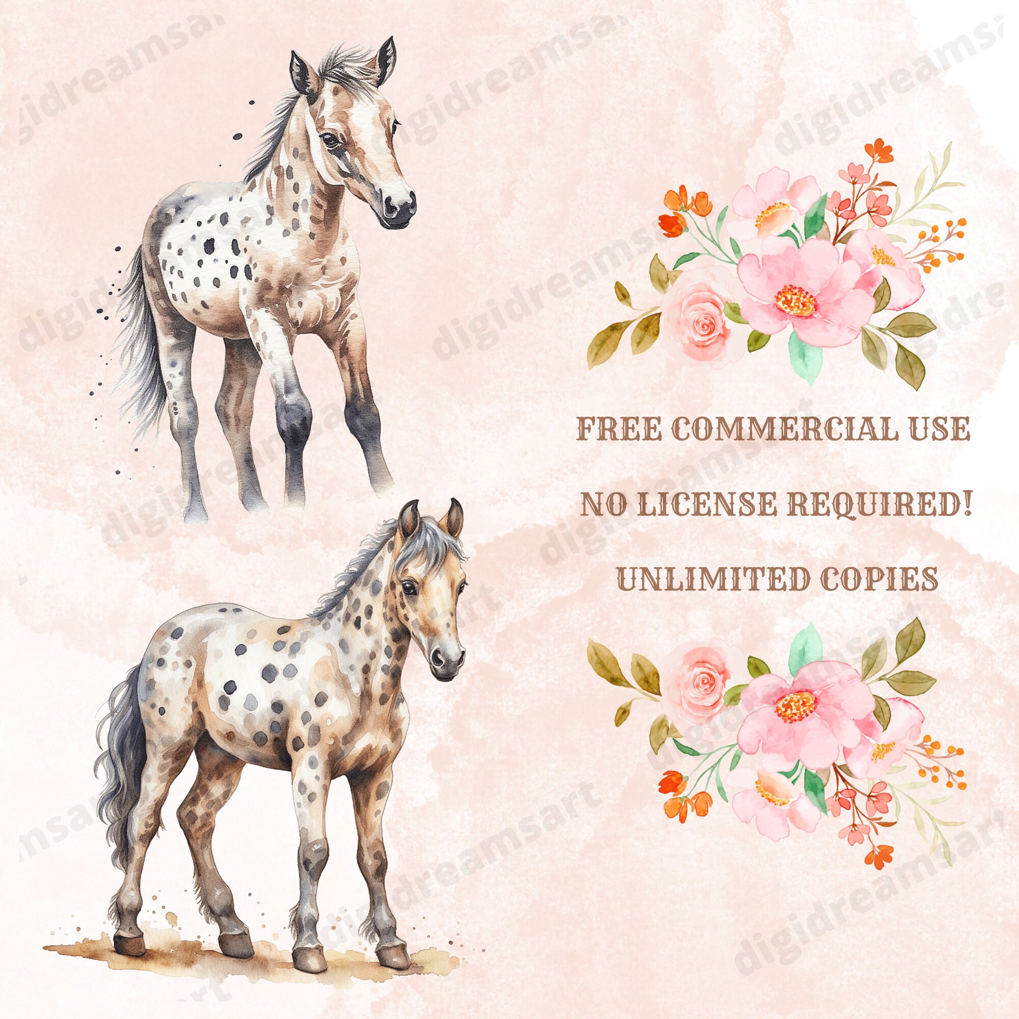 Appaloosa Baby Horse Transparent PNG Collection Watercolor - Etsy