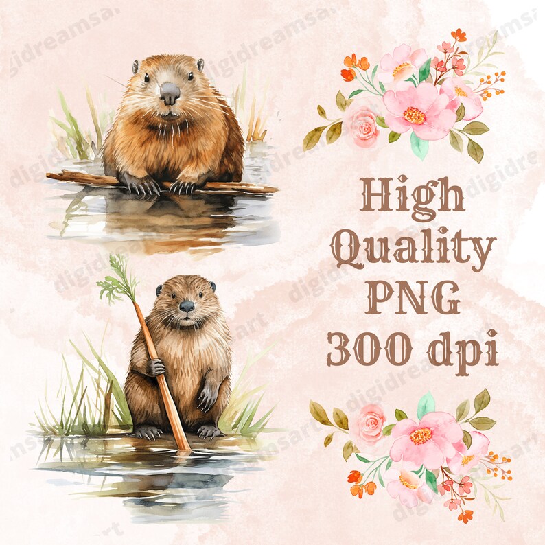 Beaver Clipart Bundle Transparent PNG Collection, Watercolor Graphics ...