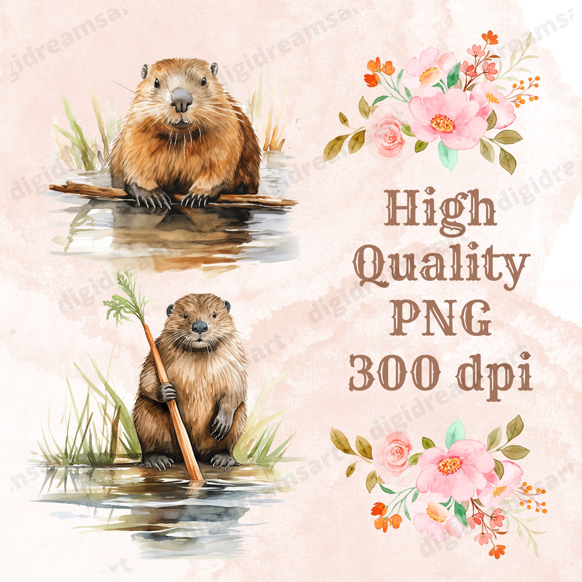Beaver Clipart Bundle Transparent PNG Collection, Watercolor Graphics ...