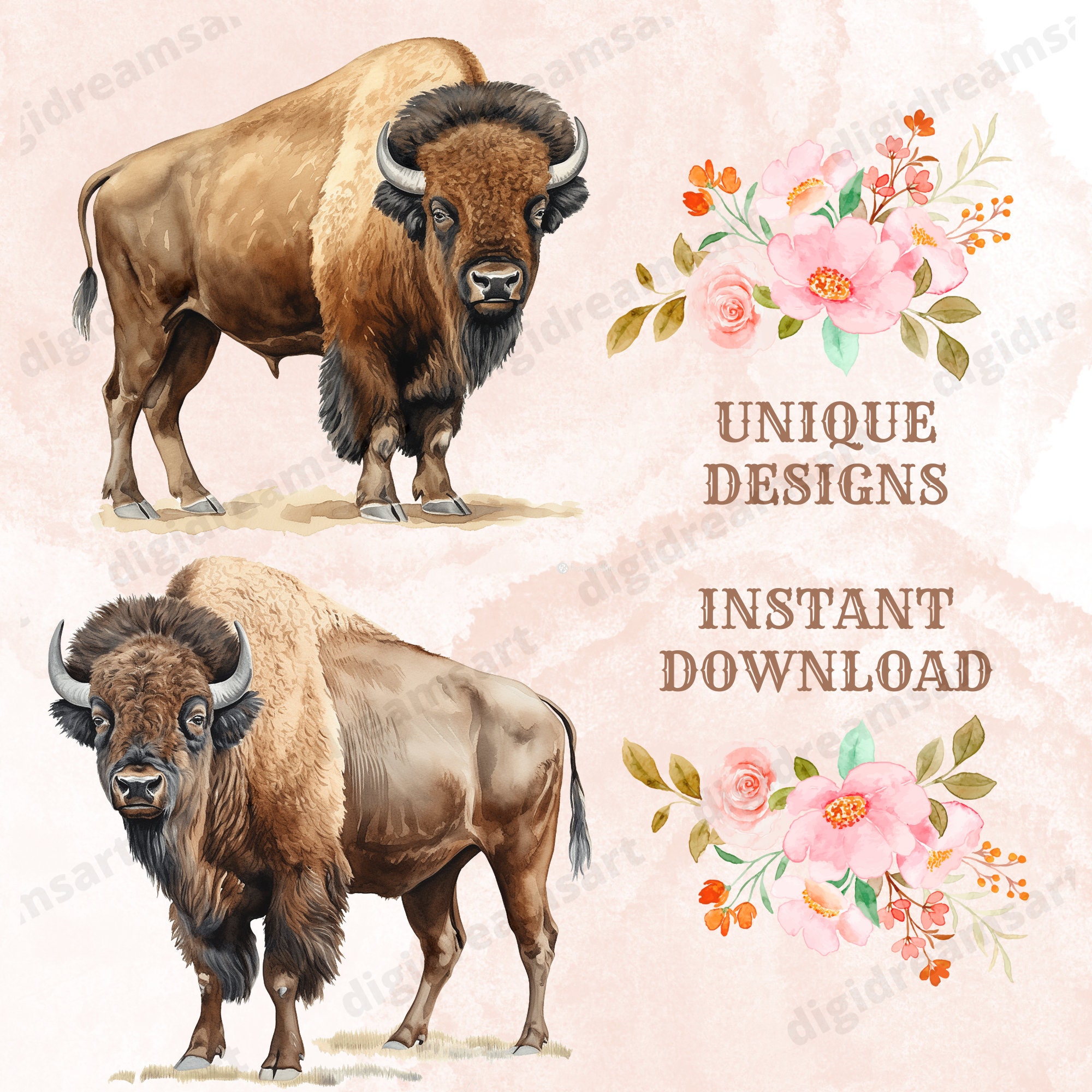 American Bison or American Buffalo Clipart Bundle Transparent PNG ...