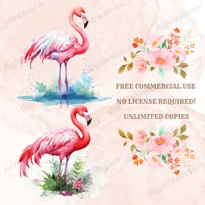 Flamingo Clipart Bundle - Transparent PNG Collection, Watercolor ...