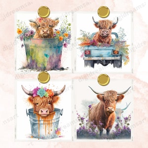Highland Cow Mega Bundle: Cute Clipart, Digital Prints, and T-shirt ...