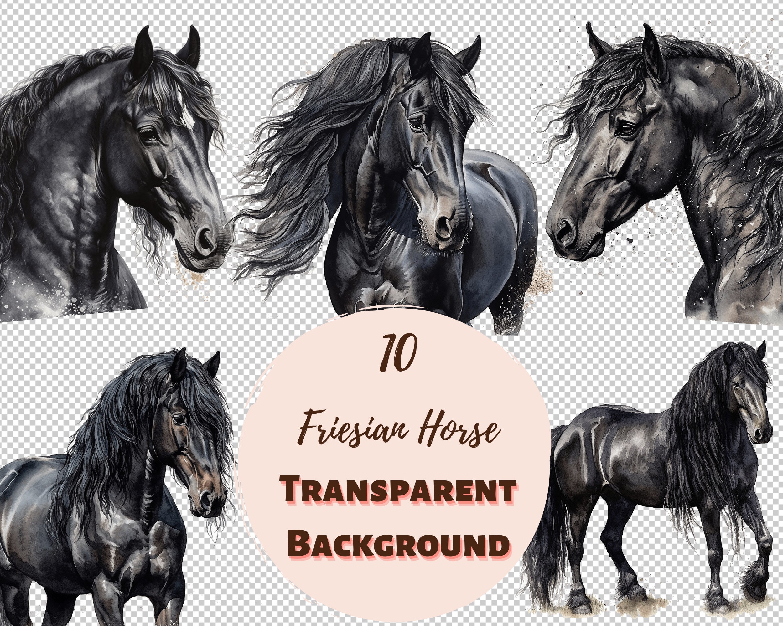 Friesian Horse Transparent PNG Collection, Watercolor Graphics, Nursery ...