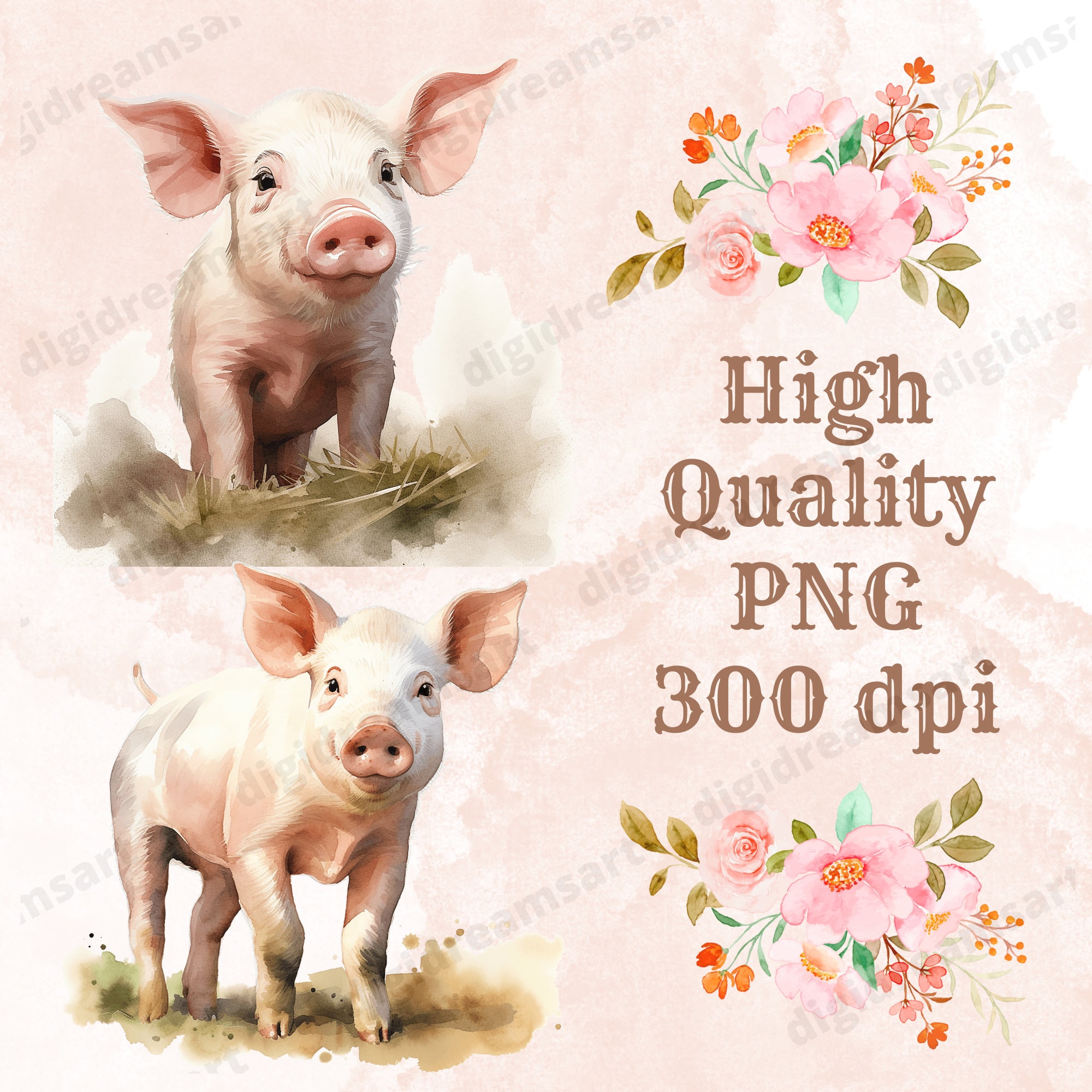 Farm Pig Clipart Bundle Transparent PNG Collection, Digital Prints ...